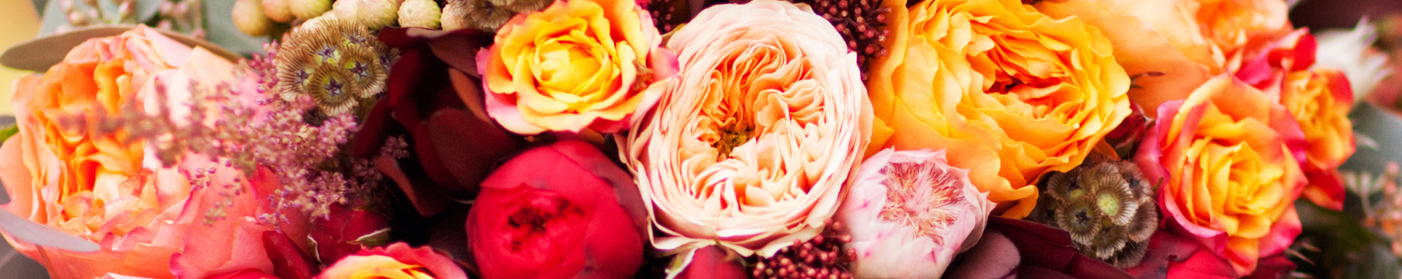 Bloom Florist - Fareham Order Online or 01329 823244